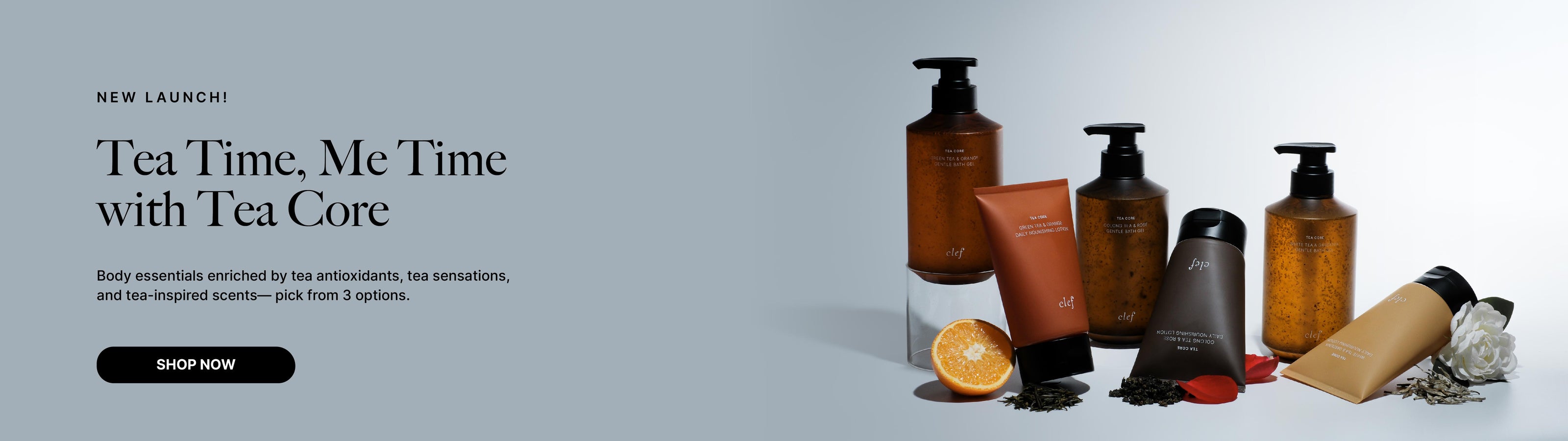 CLEF | Clean and Effective Solutions